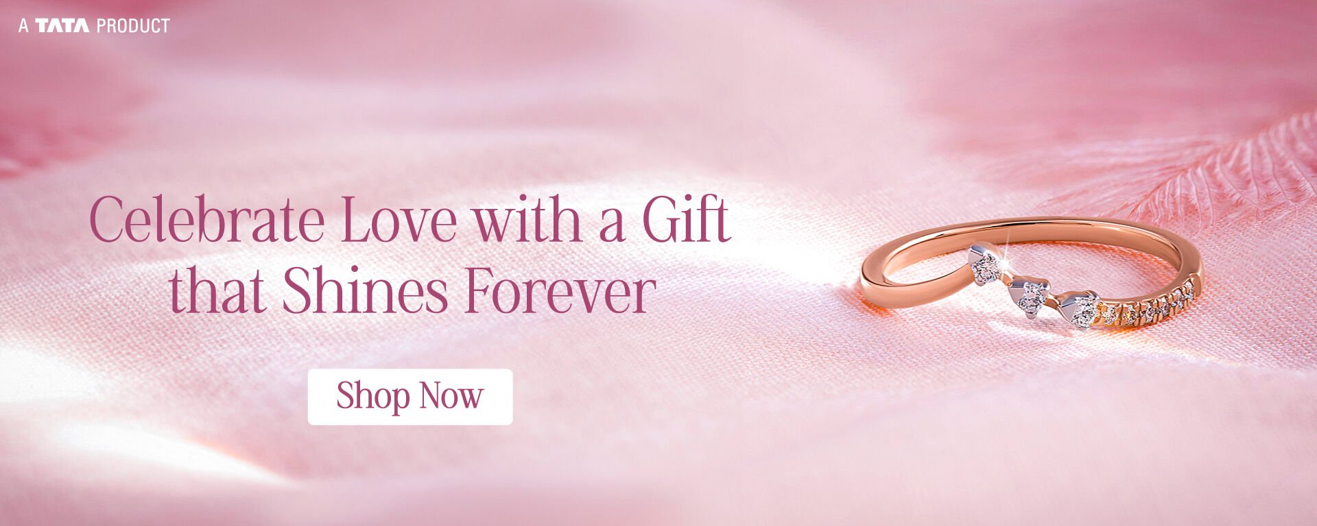 Valentines Day Collection